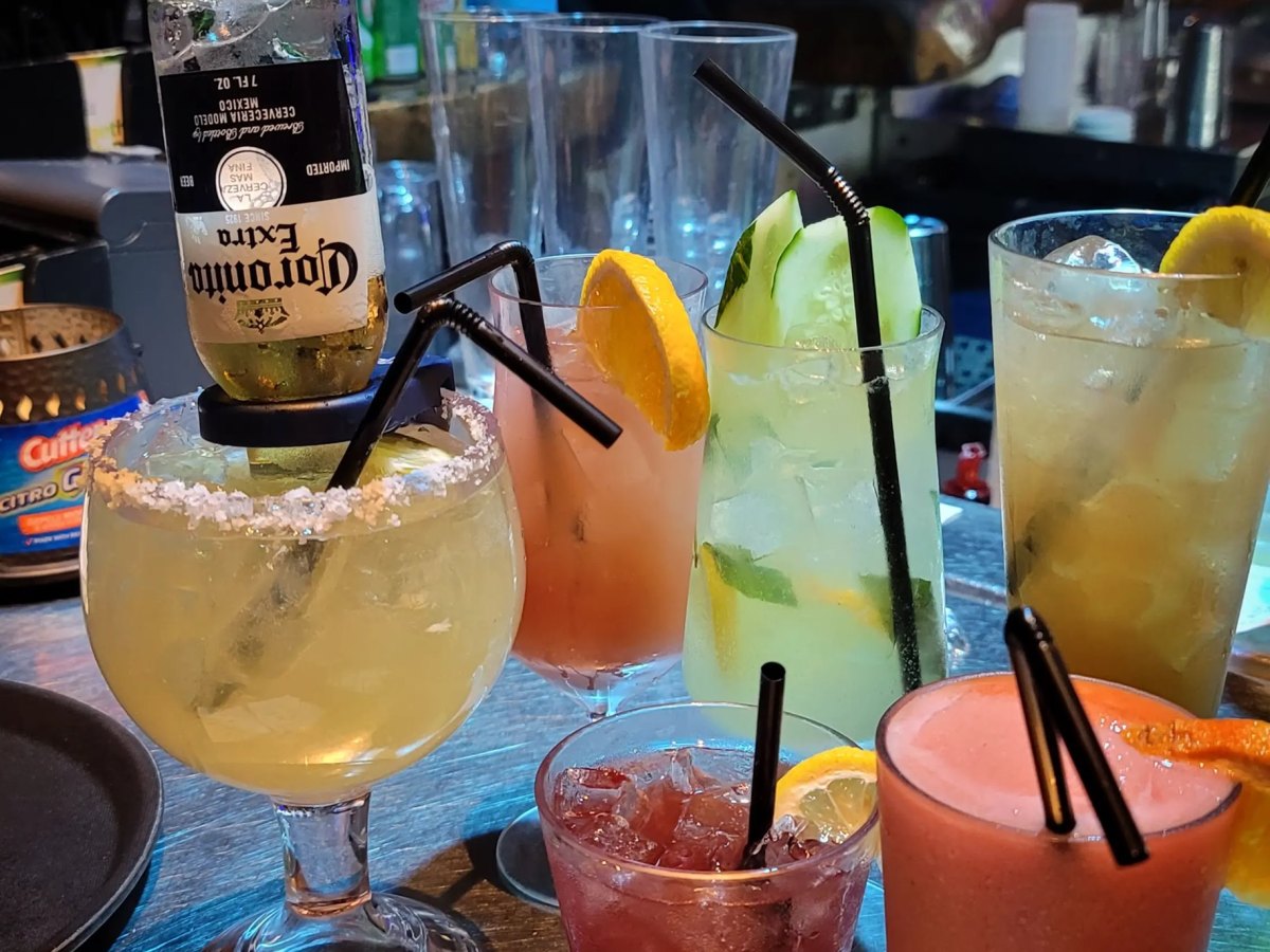 Photo Gallery | The Beach